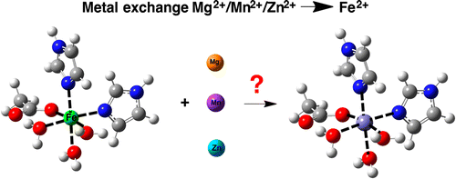 Determinants of Fe2+ over M2+ (M = Mg, Mn, Zn) Selectivity in Non-Heme ...