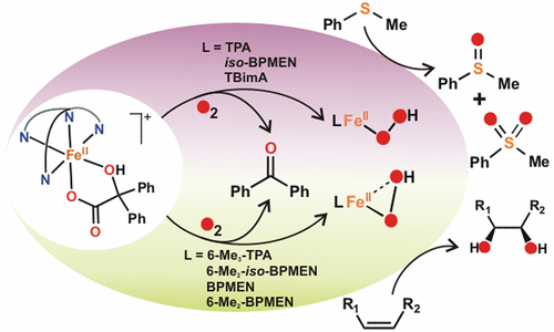 Reductive Activation of O2 by Non-Heme Iron(II) Benzilate Complexes of ...