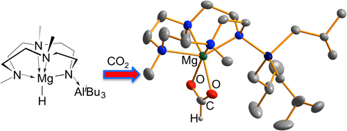 Reactivity of a Molecular Magnesium Hydride Featuring a Terminal ...