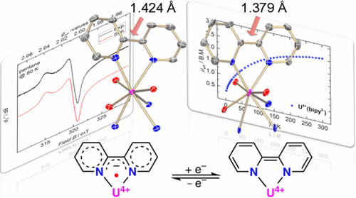 八配位铀联吡啶配合物的分子和电子结构：Bipy 2– 配体配位至U 4+ 离子的罕见例子,Inorganic Chemistry - X-MOL