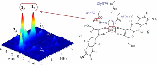 Elucidating the Structures of the Low- and High-pH Mo(V) Species in ...