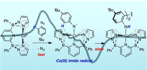 Reactions of Neutral Cobalt(II) Complexes of a Dianionic Tetrapodal ...