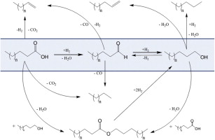 Selective hydrogenation of fatty acids to alcohols over highly ...