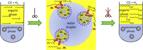 Aqueous phase homogeneous catalysis using core–shell nanoreactors ...