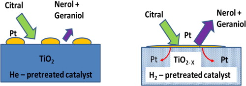 Influence of the pretreatment conditions on the development and ...