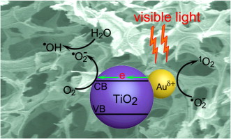 Synthesis of hierarchically porous metal oxides and Au/TiO2 nanohybrids ...