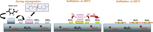 马来酸，一种活化再生CoMo / Al2O3加氢处理催化剂的有效添加剂,Journal of Catalysis - X-MOL