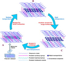 Polymer catalyst with self-assembled hierarchical access for sortable ...