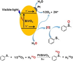 Selective oxidation of sulfides on Pt/BiVO4 photocatalyst under visible ...