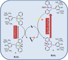 两种Mn和Fe非血红素同源氧化催化剂催化热力学壁垒的比较研究。,Journal of Catalysis - X-MOL