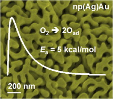 纳米多孔金催化剂上甲醇部分氧化的活性中心,Journal of Catalysis - X-MOL