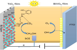 Ni-foam-supported and amine-functionalized TiO2 photocathode improved photoelectrocatalytic ...