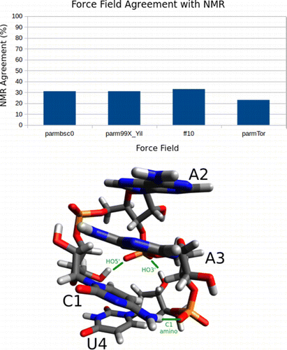Stacking in RNA: NMR of Four Tetramers Benchmark Molecular Dynamics ...