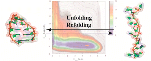 Insights into Stability and Folding of GNRA and UNCG Tetraloops ...