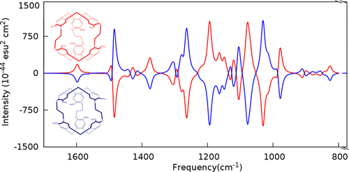 Vibrational Circular Dichroism Spectra for Large Molecules through ...