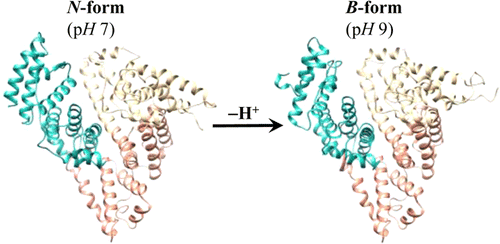 Role of the Protonation State on the Structure and Dynamics of Albumin ...