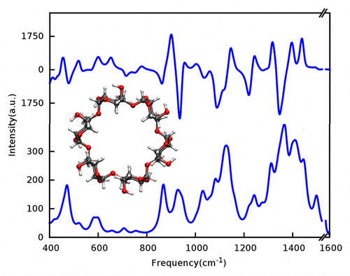 Raman Optical Activity Spectra for Large Molecules through Molecules-in ...