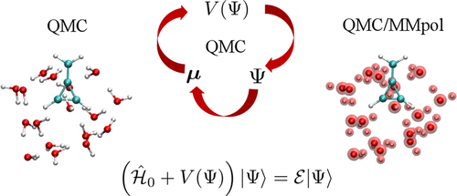 Introducing QMC/MMpol: Quantum Monte Carlo in Polarizable Force Fields ...