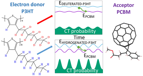 了解同位素如何影响P3HT / PCBM中的电荷转移：具有非线性量子校正的量子轨迹-电子结构研究,Journal of Chemical Theory and Computation - X-MOL