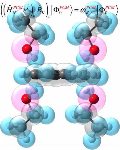 溶剂化分子电子激发能的EOM-CCSD-PCM基准,Journal of Chemical Theory and Computation ...