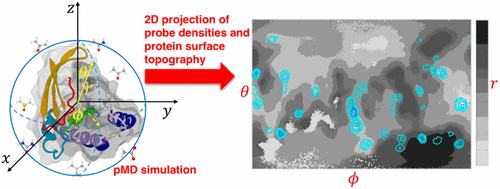 Mixed-Probe Simulation and Probe-Derived Surface Topography Map ...