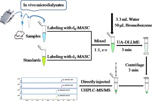 A new combined method of stable isotope-labeling derivatization ...