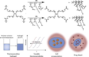 A functionalized, injectable hydrogel for localized drug delivery with ...