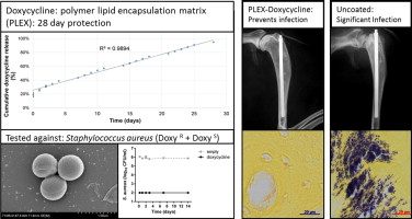 A doxycycline-loaded polymer-lipid encapsulation matrix coating for the ...