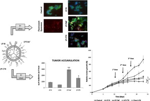 Cetuximab-oxaliplatin-liposomes for epidermal growth factor receptor ...