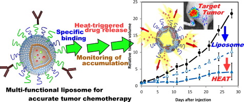 Multifunctional liposomes having target specificity, temperature ...