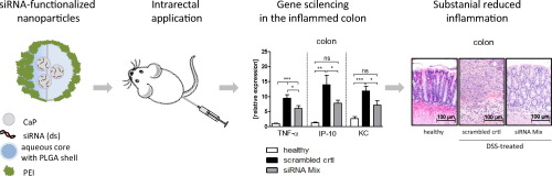 Colonic gene silencing using siRNA-loaded calcium phosphate/PLGA ...