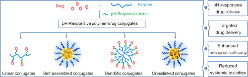 pH-responsive polymer–drug conjugates: Design and progress,Journal of ...