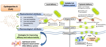 重新制定环孢霉素A（CsA）：不仅仅是生命周期管理策略,Journal of Controlled Release - X-MOL