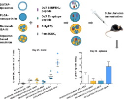 Synthetic long peptide-based vaccine formulations for induction of cell ...