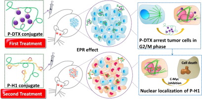 Time-staggered delivery of docetaxel and H1-S6A,F8A peptide for ...