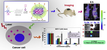 Graphene oxide-incorporated pH-responsive folate-albumin ...