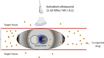 Acoustic Cluster Therapy (ACT) enhances the therapeutic efficacy of ...