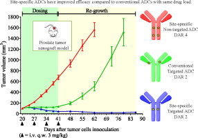 Rational design, biophysical and biological characterization of site ...