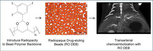 Characterization of a novel intrinsically radiopaque Drug-eluting Bead for image-guided therapy ...