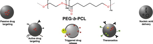 基于PEG-PCL的纳米药物：一种可生物降解的药物输送系统及其应用,Journal of Controlled Release - X-MOL