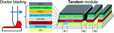Efficient polymer tandem modules and solar cells by doctor blading ...