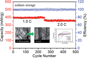 From fibrous elastin proteins to one-dimensional transition metal ...
