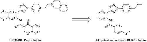 HM30181 Derivatives as Novel Potent and Selective Inhibitors of the ...