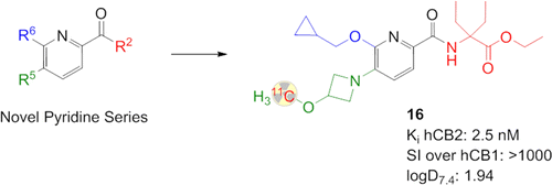 Discovery of a High Affinity and Selective Pyridine Analog as a ...