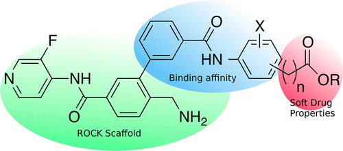 Design, Synthesis, and Biological Evaluation of Novel, Highly Active ...