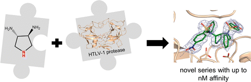 Privileged Structures Meet Human T-Cell Leukemia Virus-1 (HTLV-1): C2 ...