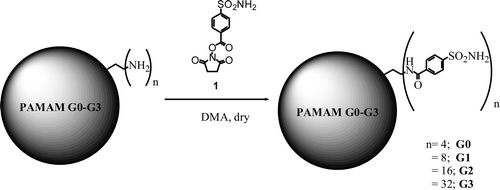 Poly(amidoamine) Dendrimers with Carbonic Anhydrase Inhibitory Activity ...