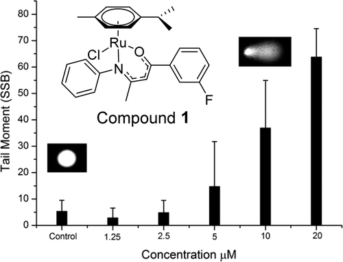 Hypoxia-Sensitive Metal β-Ketoiminato Complexes Showing Induced Single ...