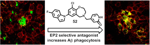 A Selective Prostaglandin E2 Receptor Subtype 2 (EP2) Antagonist ...
