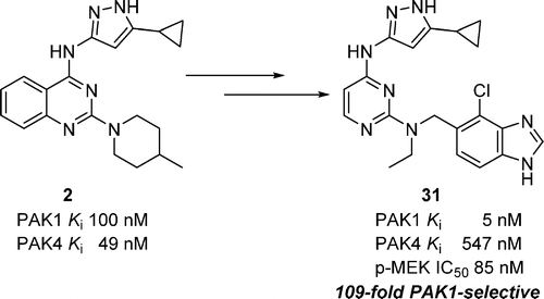 Structure-Guided Design of Group I Selective p21-Activated Kinase ...
